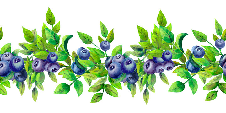 Cartoon Blueberry Bush