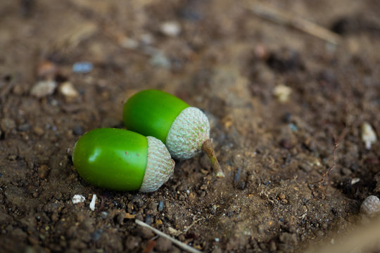 Inured Bilder – Durchsuchen 1,615 Archivfotos, Vektorgrafiken und ...