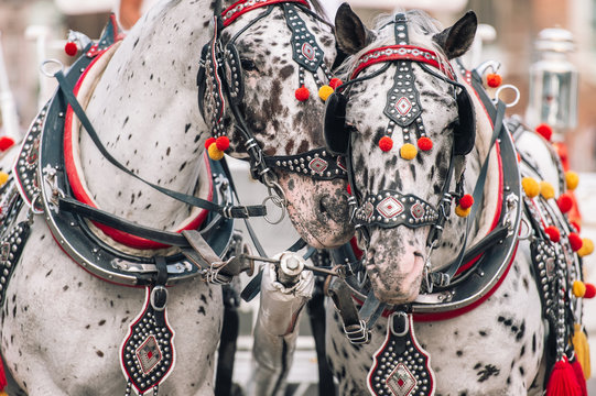 Ebent Bilder – Durchsuchen 68 Archivfotos, Vektorgrafiken und Videos ...