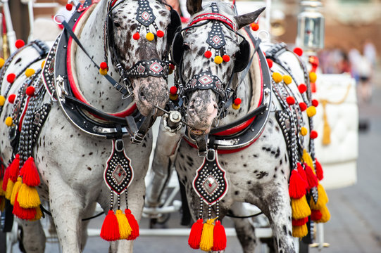 Ebent Bilder – Durchsuchen 68 Archivfotos, Vektorgrafiken und Videos ...