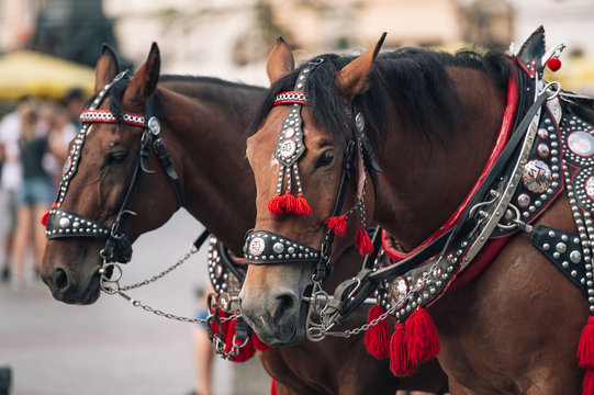 Ebent Bilder – Durchsuchen 68 Archivfotos, Vektorgrafiken und Videos ...