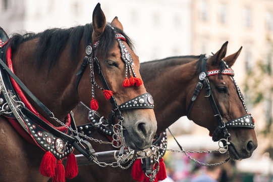 Ebent Bilder – Durchsuchen 68 Archivfotos, Vektorgrafiken und Videos ...
