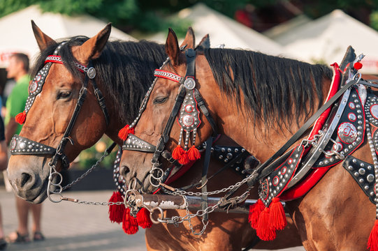 Ebent Bilder – Durchsuchen 68 Archivfotos, Vektorgrafiken und Videos ...