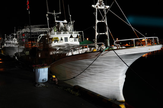 Free Wo Images – Browse 755 Free Stock Photos, Vectors, and Video ...