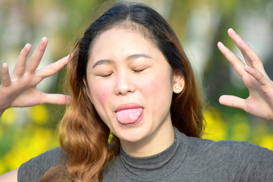 รูปภาพLunatic – เลือกดูภาพถ่ายสต็อก เวกเตอร์ และวิดีโอ53,836 | Adobe Stock