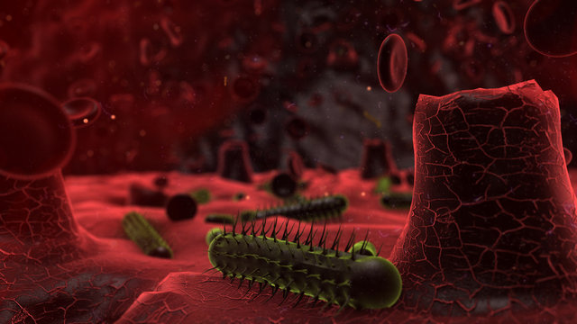 Morganella Images – Browse 63 Stock Photos, Vectors, and Video | Adobe ...