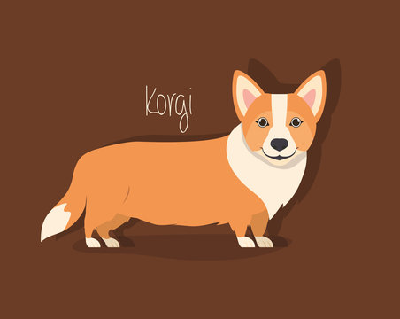 Korgi Bilder – Durchsuchen 305 Archivfotos, Vektorgrafiken und Videos ...