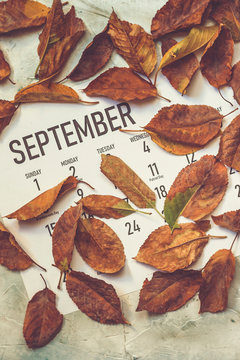 "September Calendar" Images – Browse 2,328 Stock Photos, Vectors, and ...