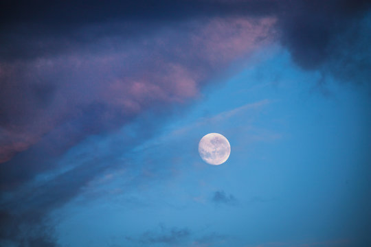 "Claro De Luna" Images – Browse 4,098 Stock Photos, Vectors, and Video ...