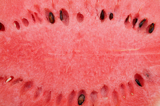 Watermelon Inside Texture