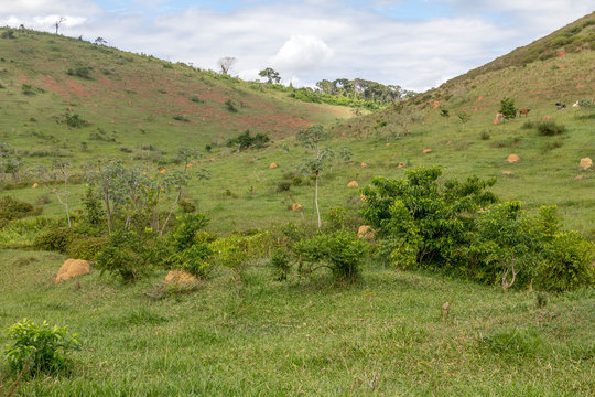 Seem Images – Parcourir 179,516 le catalogue de photos, vecteurs et ...