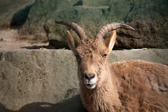 Rammen bilder – Bläddra bland 1,916 stockfoton, vektorer och videor ...