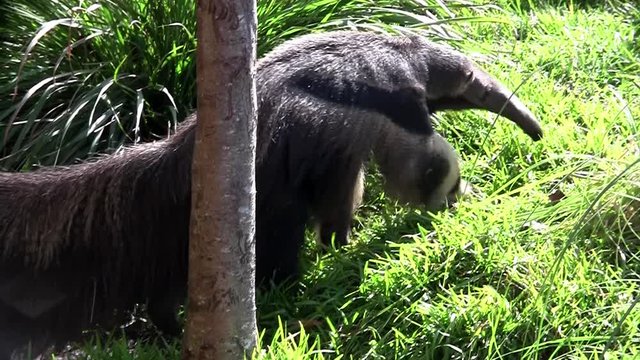 รูปภาพYurumi – เลือกดูภาพถ่ายสต็อก เวกเตอร์ และวิดีโอ33 | Adobe Stock