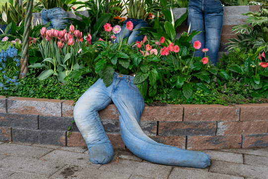 Prain Bilder – Durchsuchen 162 Archivfotos, Vektorgrafiken und Videos ...