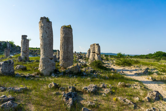 รูปภาพKamani – เลือกดูภาพถ่ายสต็อก เวกเตอร์ และวิดีโอ1,430 | Adobe Stock