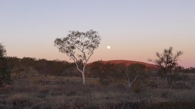 Pilbara bilder – Bläddra bland 2,886 stockfoton, vektorer och videor | Adobe Stock