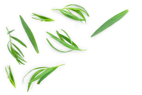 รูปภาพTarkhun – เลือกดูภาพถ่ายสต็อก เวกเตอร์ และวิดีโอ435 | Adobe Stock