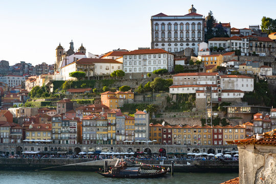 「Gaja」の画像 - 9,847 件の Stock 写真、ベクターおよびビデオ | Adobe Stock