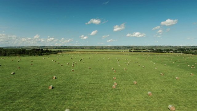 รูปภาพAlbertan – เลือกดูภาพถ่ายสต็อก เวกเตอร์ และวิดีโอ420 | Adobe Stock