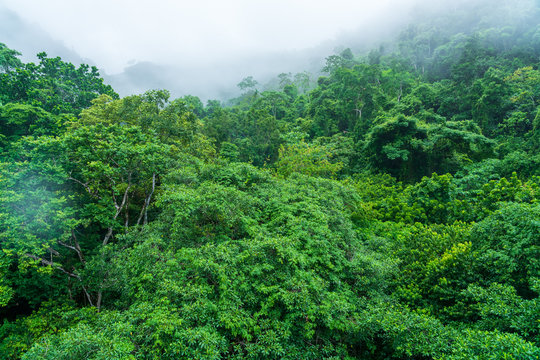 Surrounding Images – Browse 530,680 Stock Photos, Vectors, and Video ...