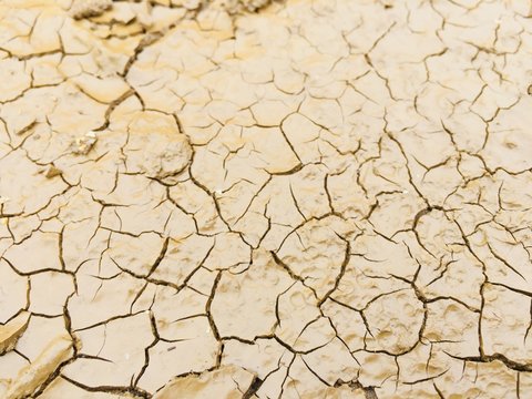 「Soild」の画像 - 155 件の Stock 写真、ベクターおよびビデオ | Adobe Stock