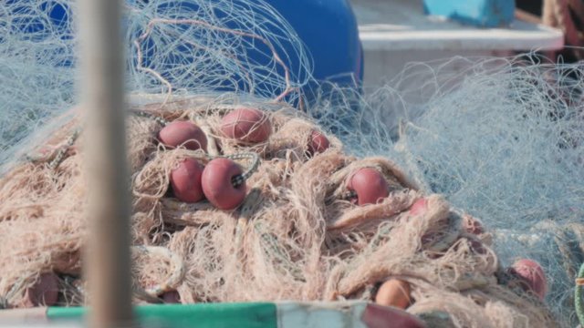 "Tangle Net" Bilder – Durchsuchen 91 Archivfotos, Vektorgrafiken und ...