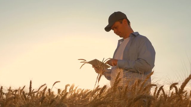 Agronomy Video Footage – Browse 99,968 HD Stock Video and Footage ...