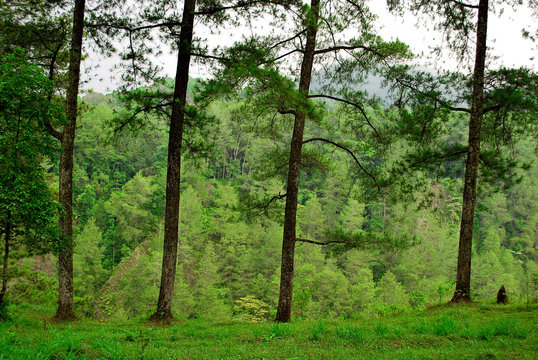 Adem Images – Browse 46 Stock Photos, Vectors, and Video | Adobe Stock