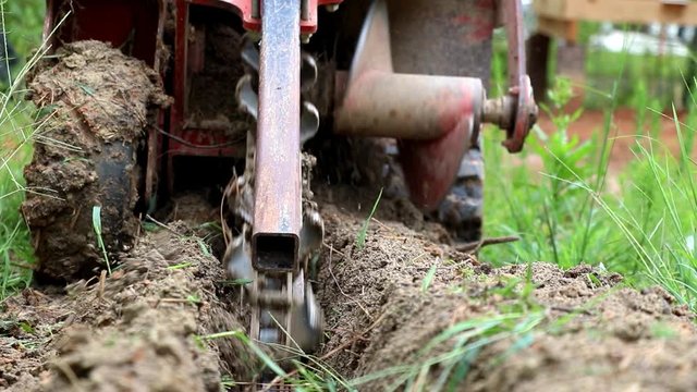 Trencher Images – Browse 4,374 Stock Photos, Vectors, and Video | Adobe ...