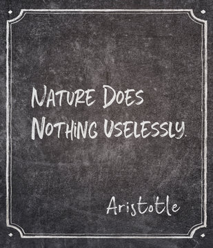 Uselessly Images – Browse 701 Stock Photos, Vectors, and Video | Adobe ...