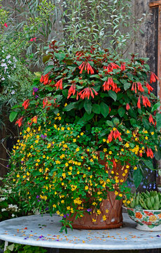 รูปภาพColor.clour – เลือกดูภาพถ่ายสต็อก เวกเตอร์ และวิดีโอ265 | Adobe Stock