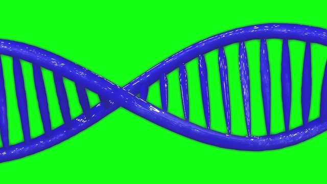 "Dna Chromosome" Images – Browse 82 Stock Photos, Vectors, and Video ...