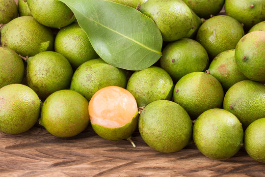 Kinnip Bilder – Durchsuchen 3,314 Archivfotos, Vektorgrafiken und ...