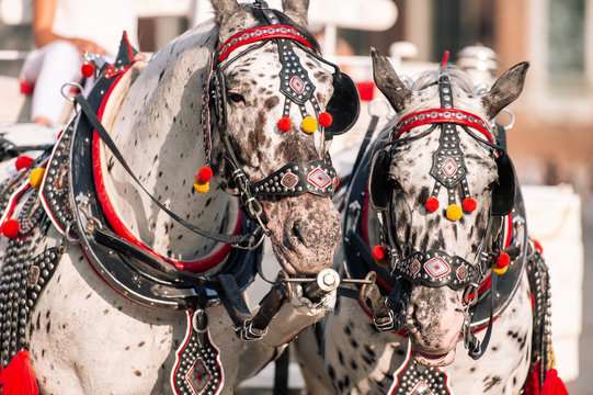 Ebent Bilder – Durchsuchen 68 Archivfotos, Vektorgrafiken und Videos ...