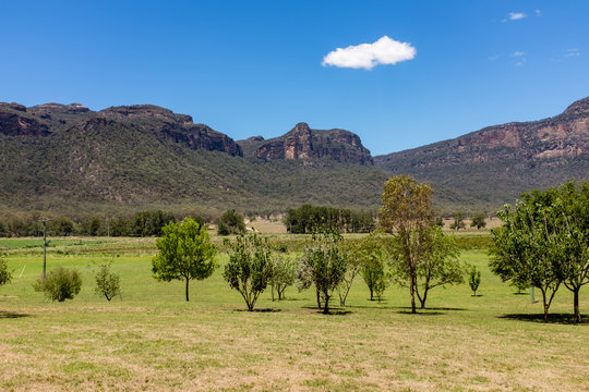 Caper Tree Valley