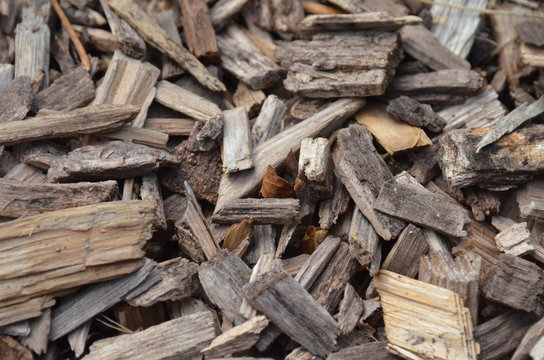 Cippato Images – Browse 64 Stock Photos, Vectors, and Video | Adobe Stock