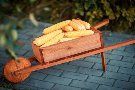 「Hand-Barrow」の写真素材 | 491件の無料イラスト画像 | Adobe Stock