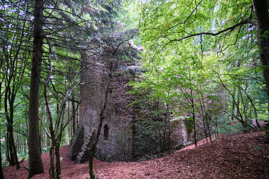 Neroth 이미지 – 찾아보기 17 스톡 사진, 벡터 및 비디오 | Adobe Stock