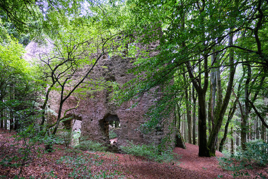 Neroth 이미지 – 찾아보기 17 스톡 사진, 벡터 및 비디오 | Adobe Stock