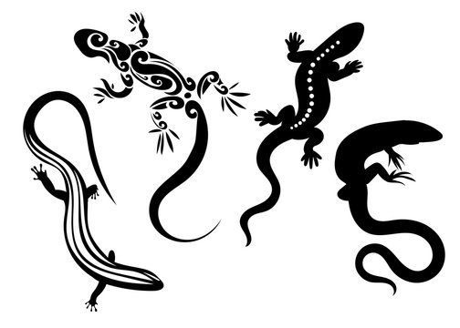 Lizard Black And White Clipart