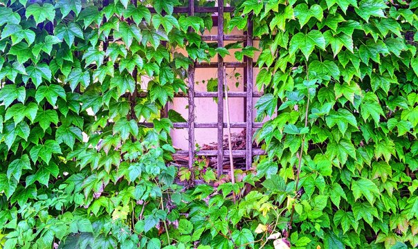 Trudge Bilder – Durchsuchen 1,216 Archivfotos, Vektorgrafiken und ...