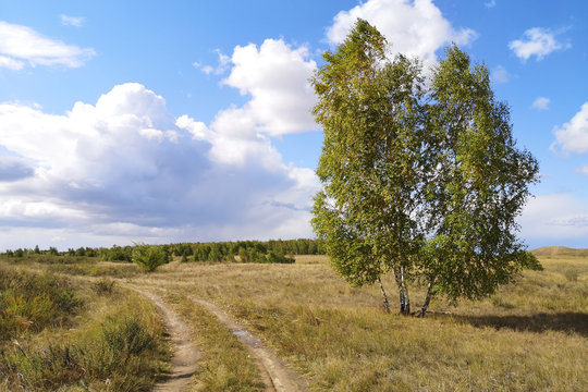 รูปภาพForest-Steppe – เลือกดูภาพถ่ายสต็อก เวกเตอร์ และวิดีโอ2,081 ...
