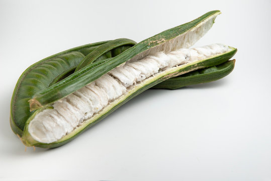 「Guaba」の画像 - 1,397 件の Stock 写真、ベクターおよびビデオ | Adobe Stock