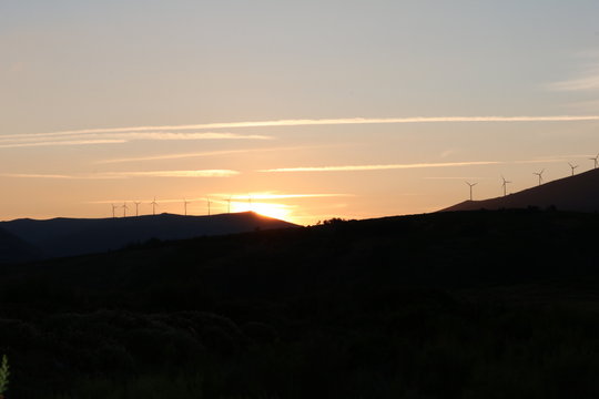 Nardice photos, images, assets | Adobe Stock