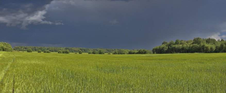 「Stormfront」の画像 - 462 件の Stock 写真、ベクターおよびビデオ | Adobe Stock