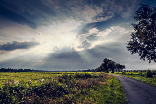 Marschland bilder – Bläddra bland 678 stockfoton, vektorer och videor ...