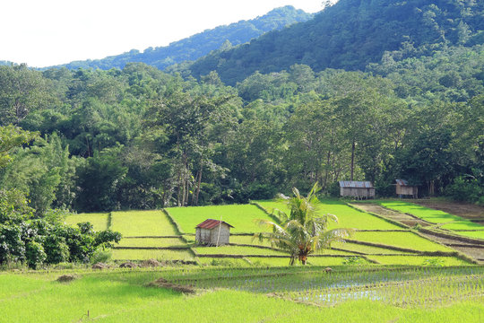 Kelimutu Images – Parcourir 1,054 le catalogue de photos, vecteurs et ...