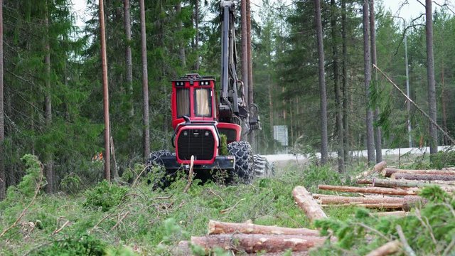 Logging Images – Browse 805,037 Stock Photos, Vectors, and Video ...