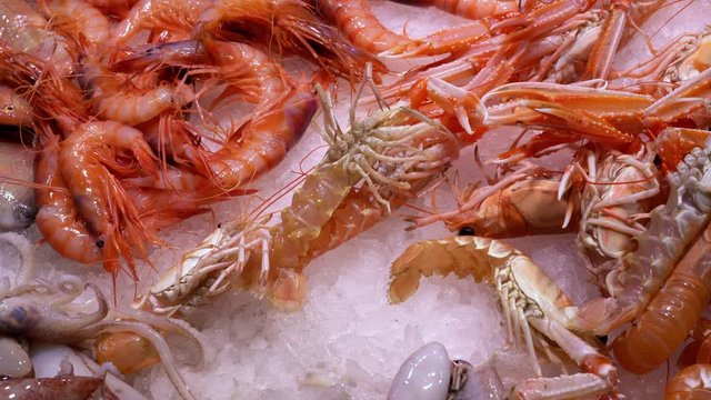 "Live Shrimp" Images – Browse 157 Stock Photos, Vectors, and Video ...