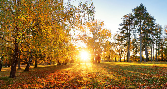 Tổng hợp 800 Early fall desktop backgrounds Chất lượng cao, đẹp mắt